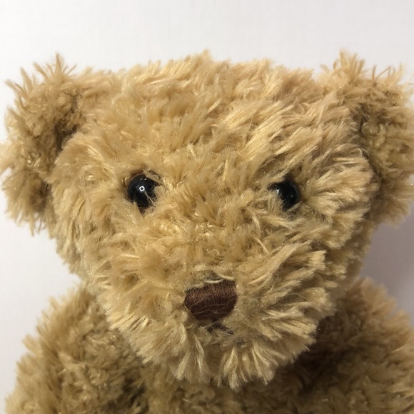 FAO Schwarz | Toys | Fao Schwarz Toys R Us Fuzzy Tan 6 Inch Teddy Bear ...